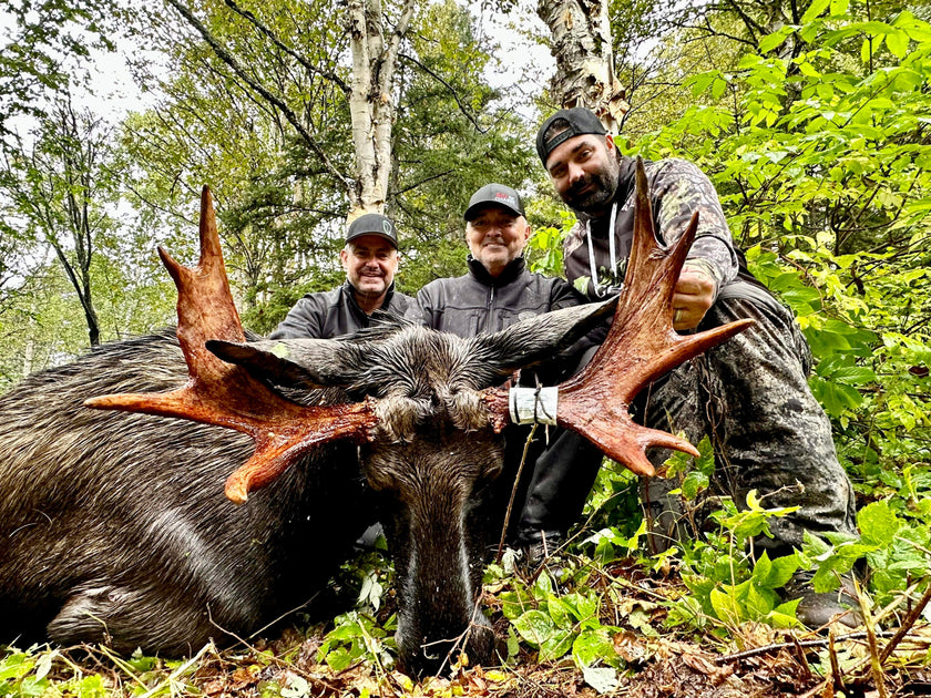 Les incontournables de Sportchief pour la chasse à l'orignal